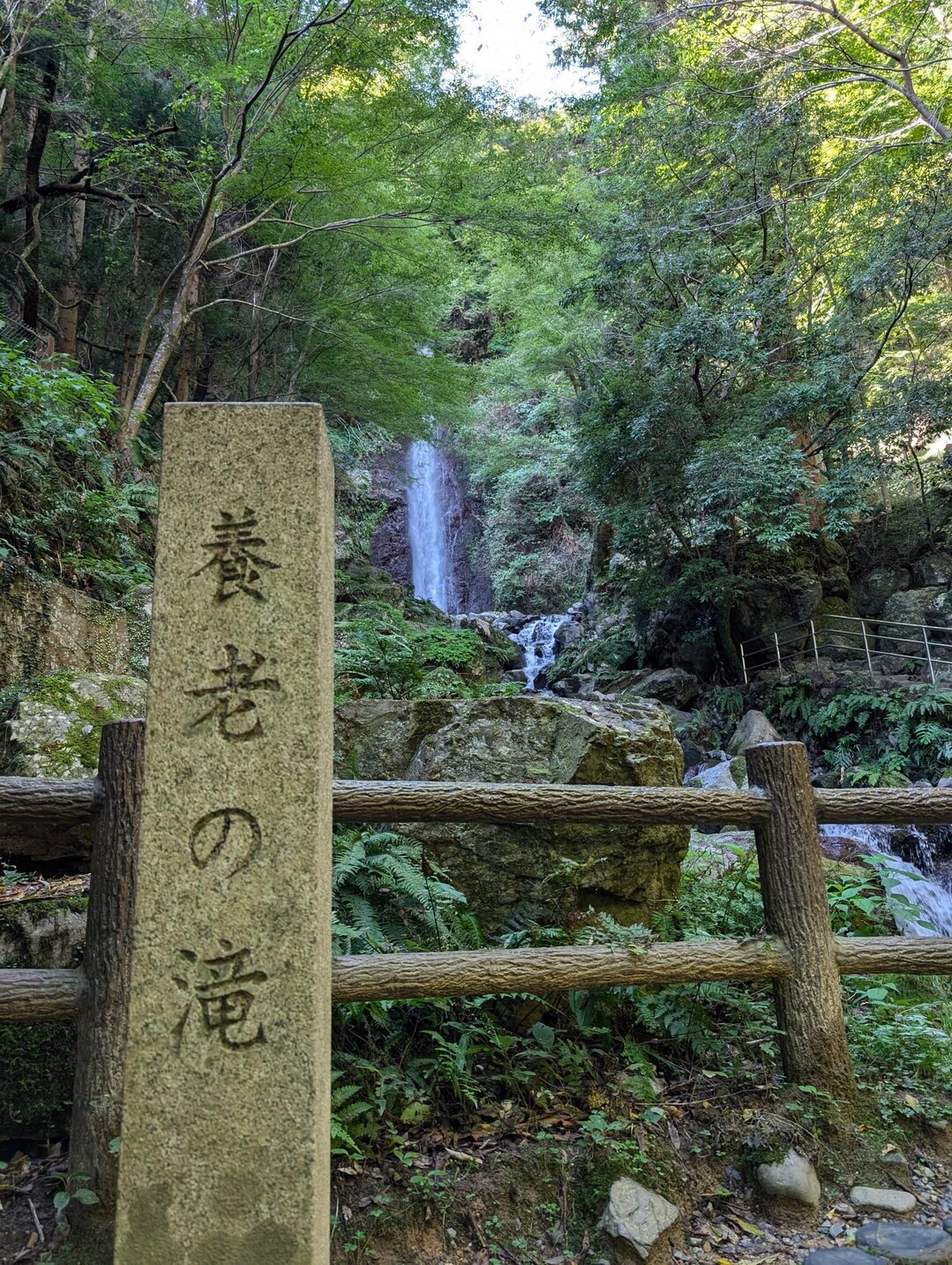 三方山・小倉山・養老山・北尾根P826峰 / h-irosakiさんの養老山・笙ヶ岳・三方山の活動データ | YAMAP / ヤマップ