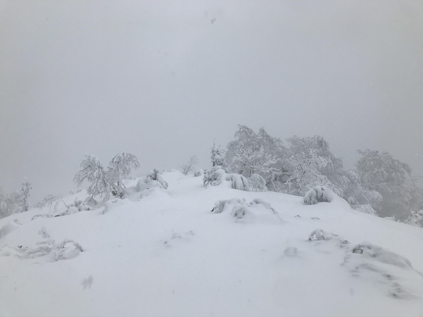 12月29日の日勝ピーク / まさよしさんのGT3 7の活動データ | YAMAP / ヤマップ