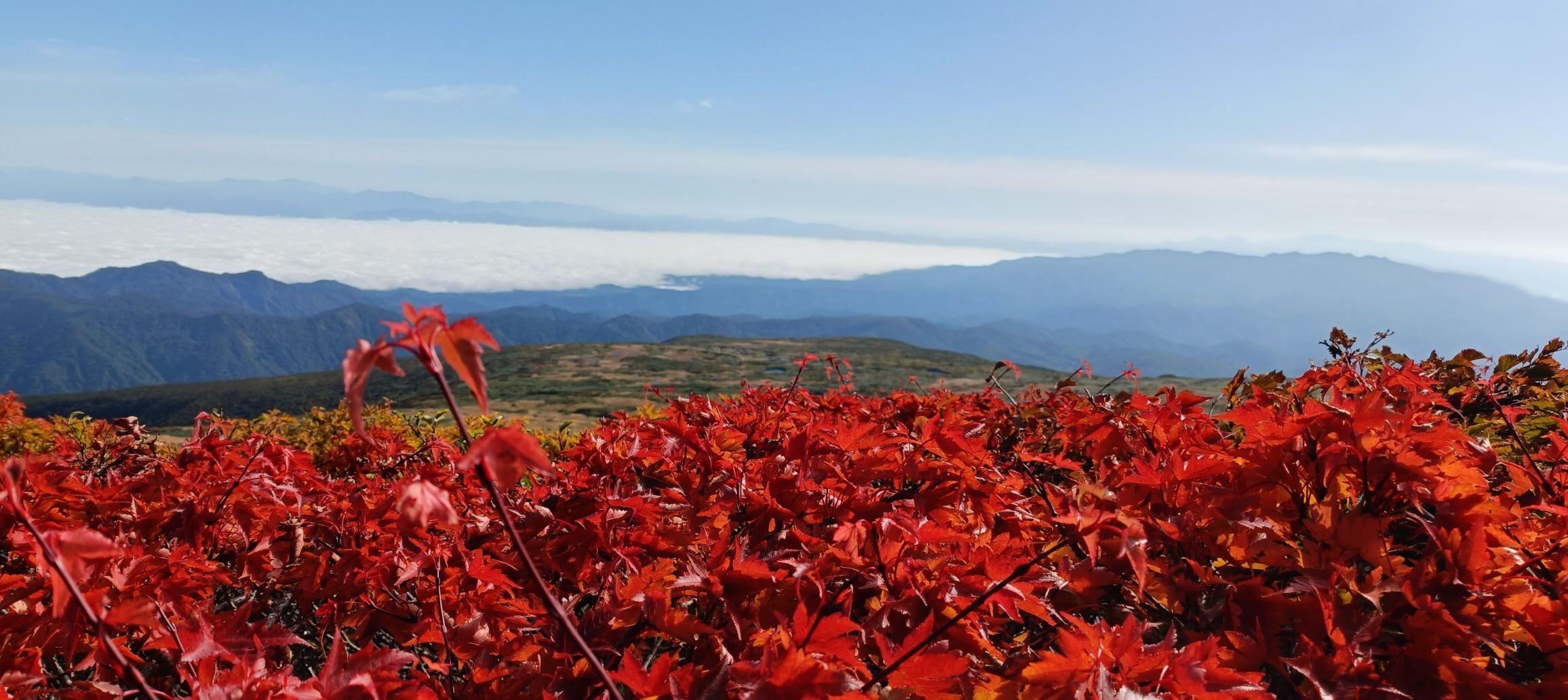 月山（日本百名山⑤） / orangeさんの月山の活動データ | YAMAP / ヤマップ