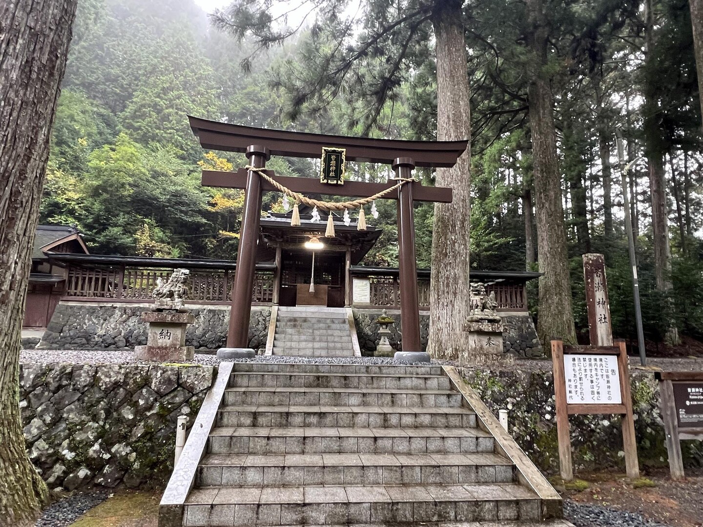 熊野古道奥辺路 大熊から竜バス停 / varaderoさんの牛廻山・大峠山の活動データ | YAMAP / ヤマップ