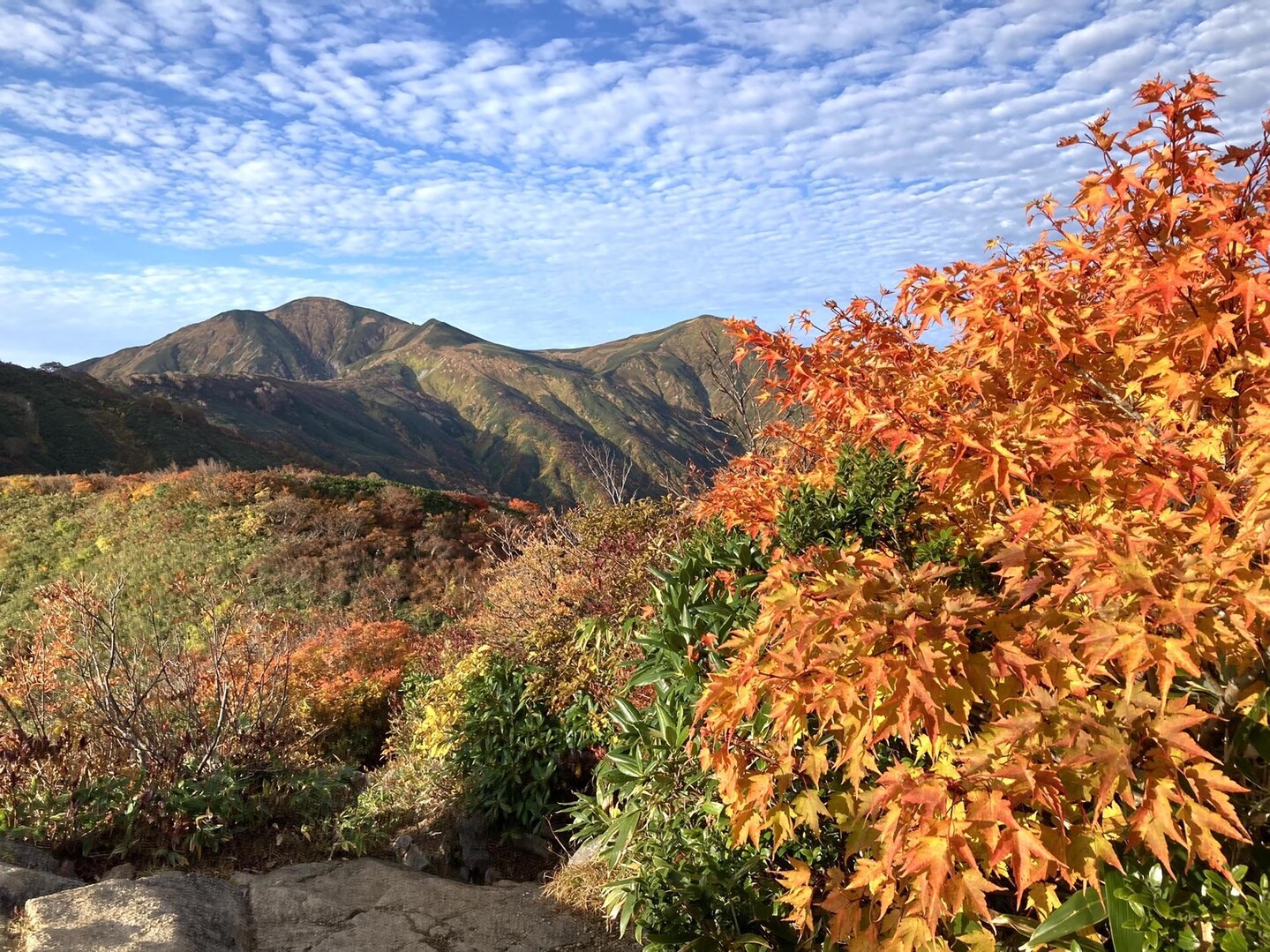 大朝日岳 晩秋の紅葉🍁 / kaeruさんの大朝日岳・朝日連峰・祝瓶山の活動データ | YAMAP / ヤマップ