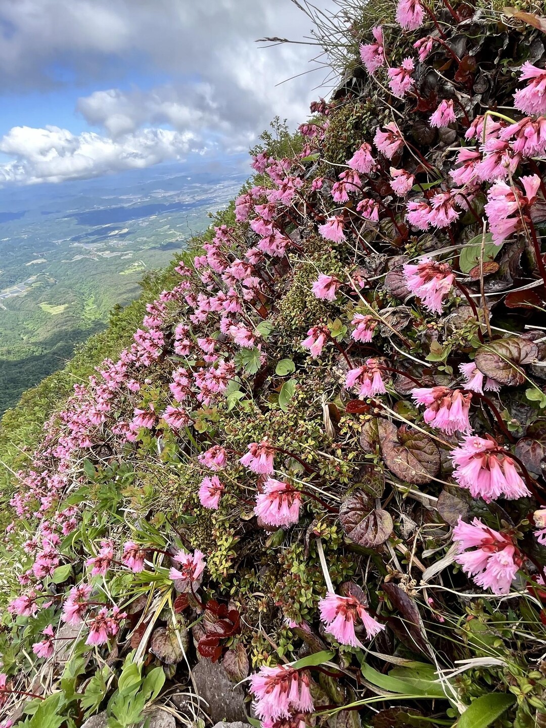 ヤマップを始める前は雄大な山岳風景🌄 ... / YOTAさんのモーメント | YAMAP / ヤマップ