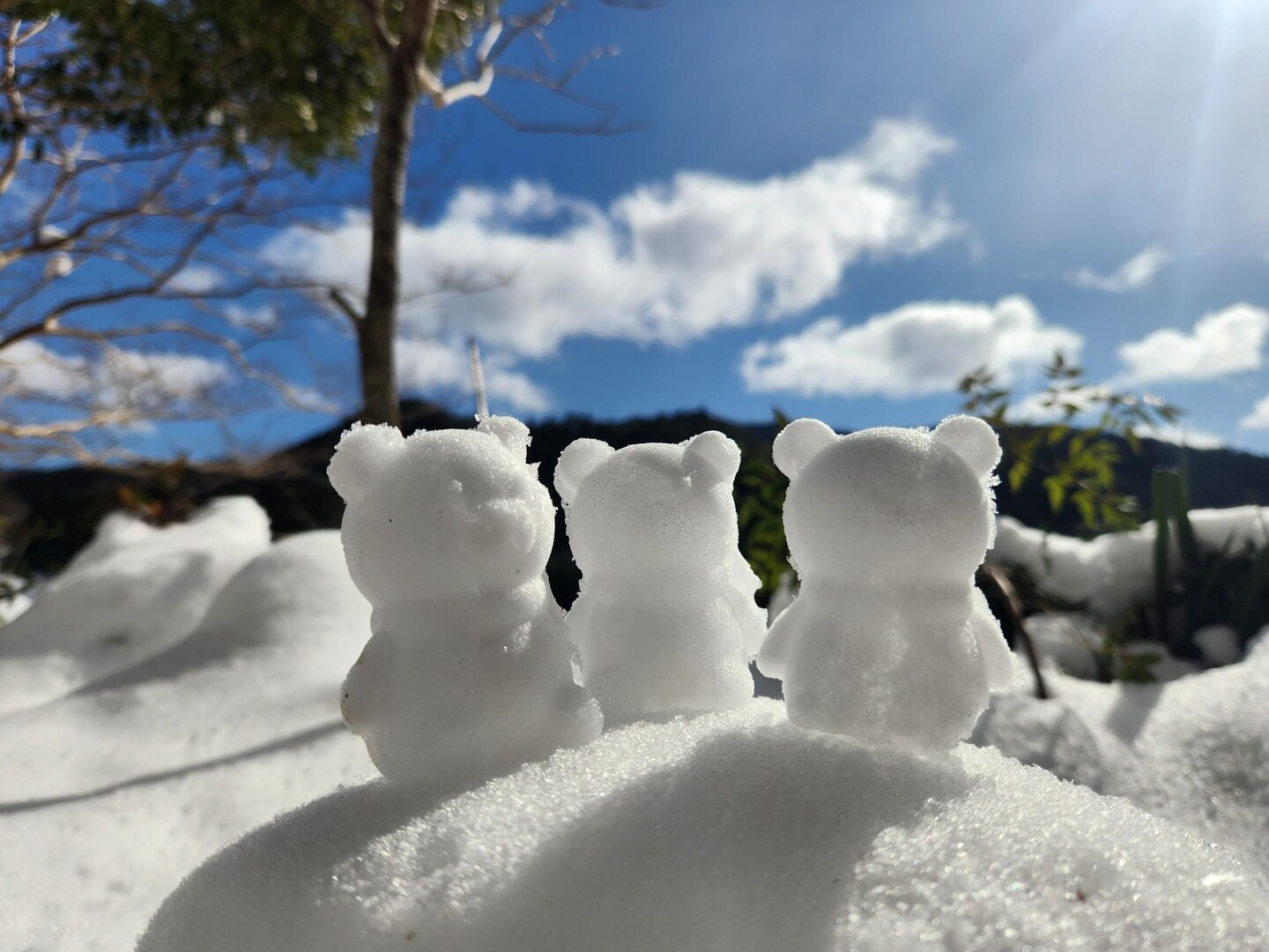 気温も上がり、青空。 雪がいつもの景色を... / sawaさんのモーメント | YAMAP / ヤマップ