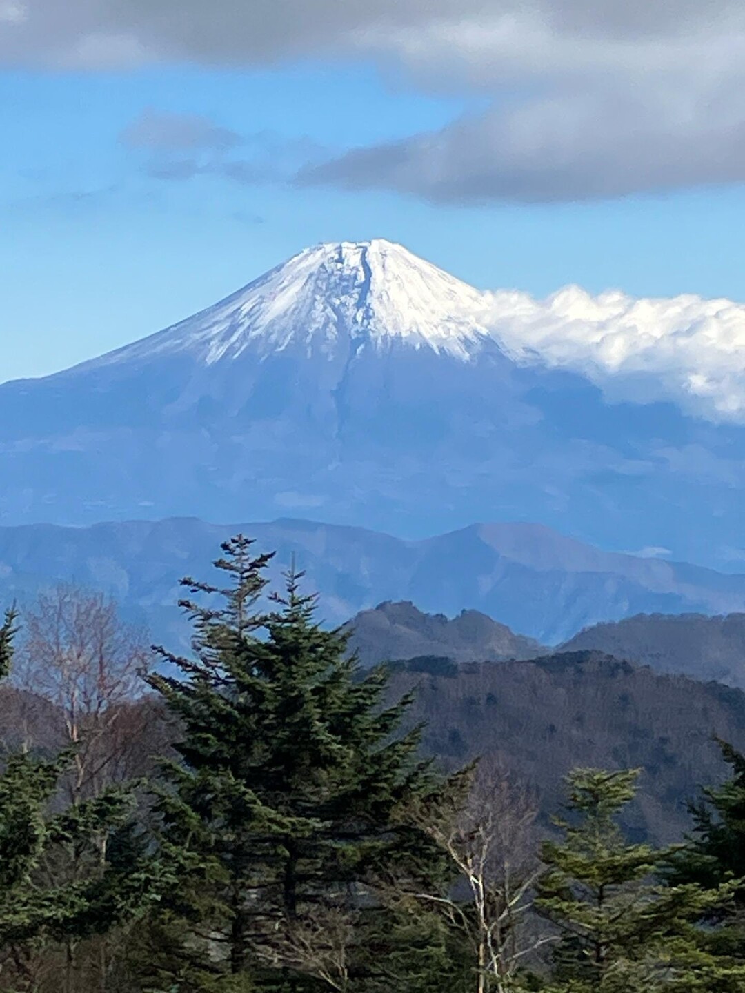 山伏。疲れた / takeさんの山伏・八紘嶺・笹山の活動データ | YAMAP / ヤマップ