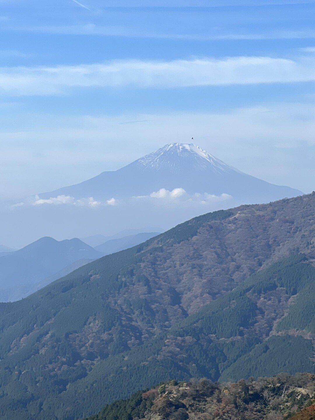 大山 / gucciさんの大山の活動データ | YAMAP / ヤマップ