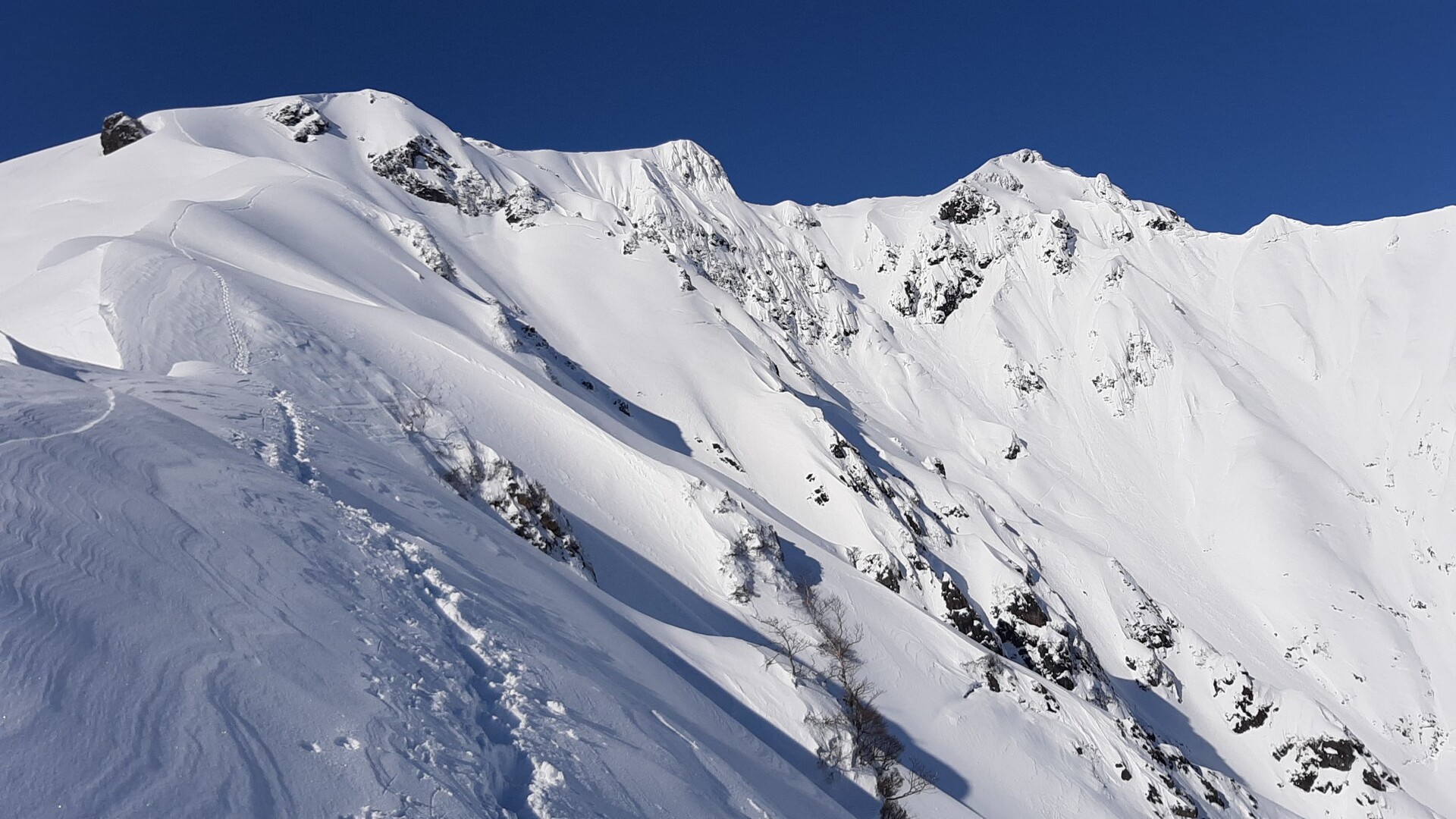 ️厳冬季 ️ 大黒(摩季)いや、石黒(... / Tomさんのモーメント | YAMAP / ヤマップ