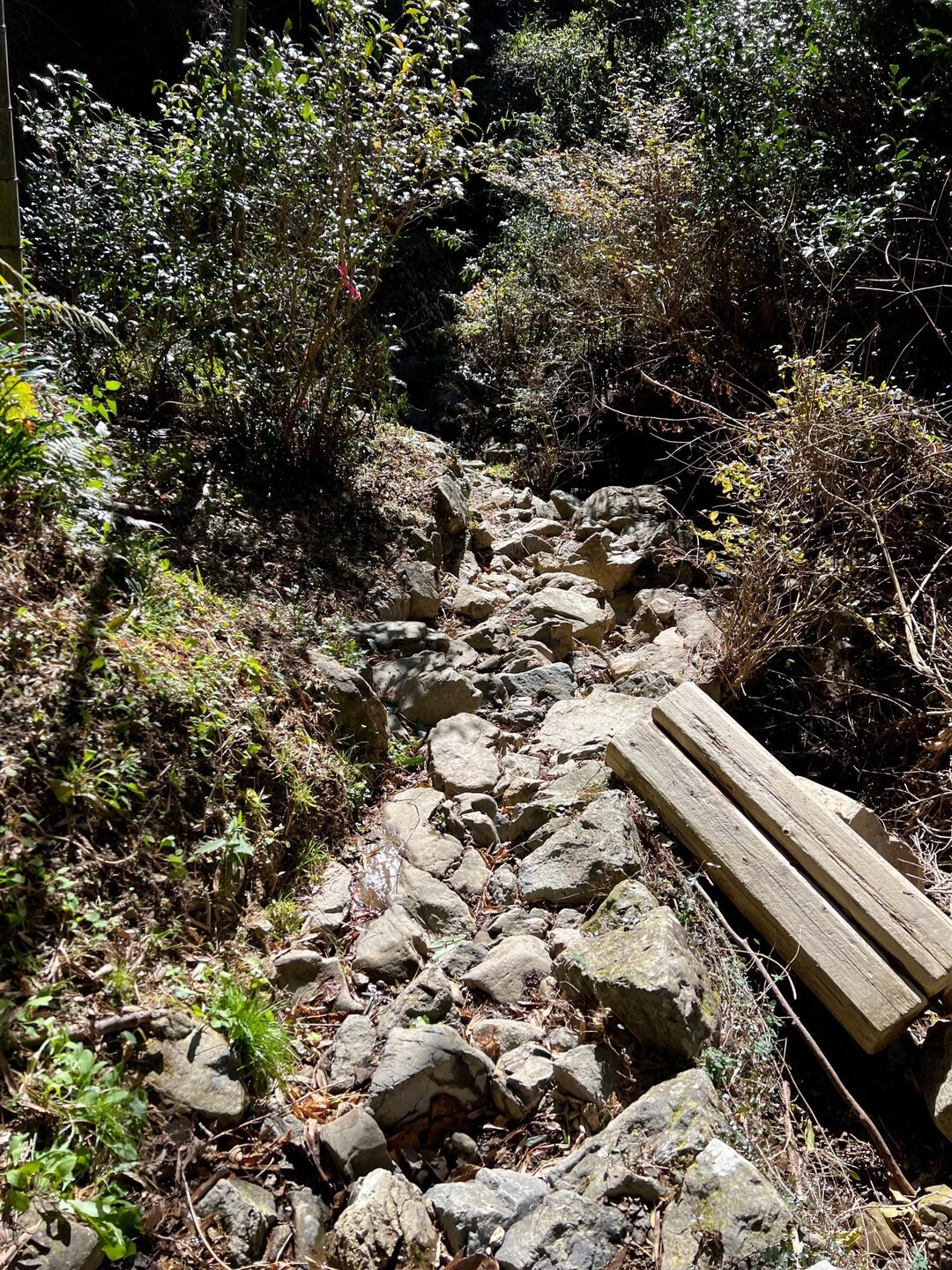 ken-endoさんの投稿したフィールドメモ | YAMAP / ヤマップ