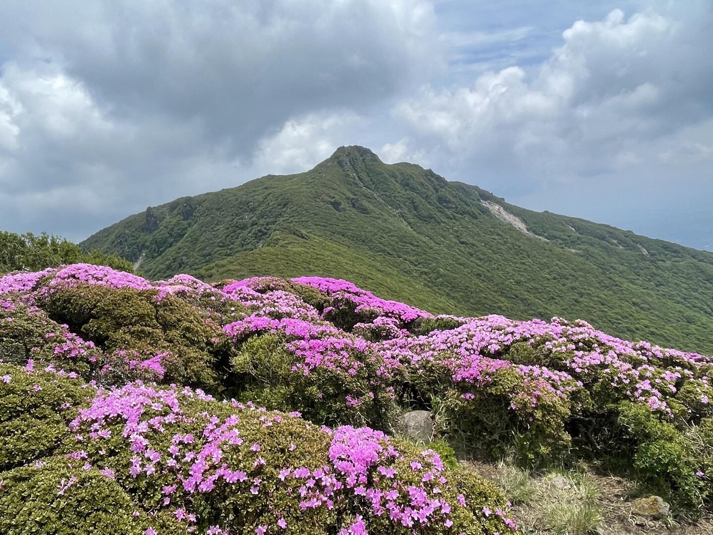 1Dayくじゅう17サミッツ (反時計回り) / Niko niko さんの九重山（久住山）・大船山・星生山の活動データ | YAMAP / ヤマップ
