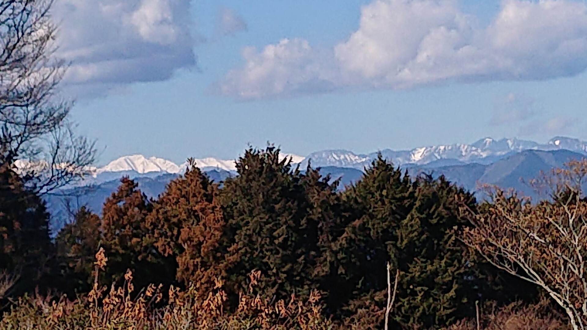 満観峰 / DKさんの焼津アルプス（高草山・満観峰・花沢山）・徳願寺山の活動データ | YAMAP / ヤマップ
