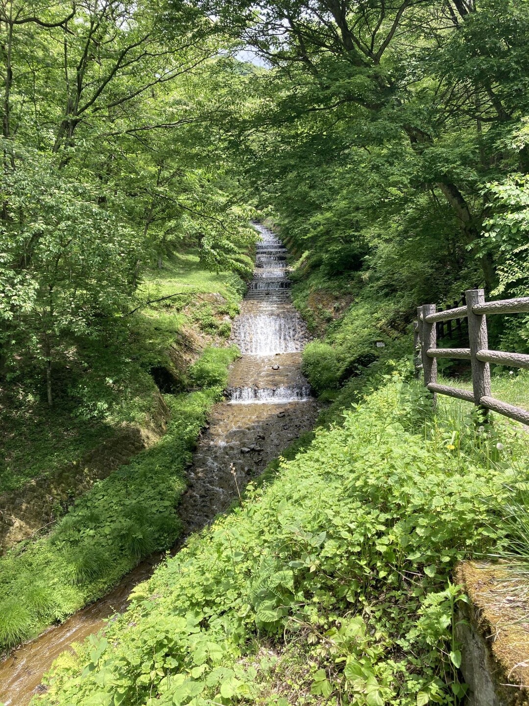 鉢伏山 / ユーザーkanameさんの鉢伏山・高ボッチ山・三峰山の活動データ | YAMAP / ヤマップ
