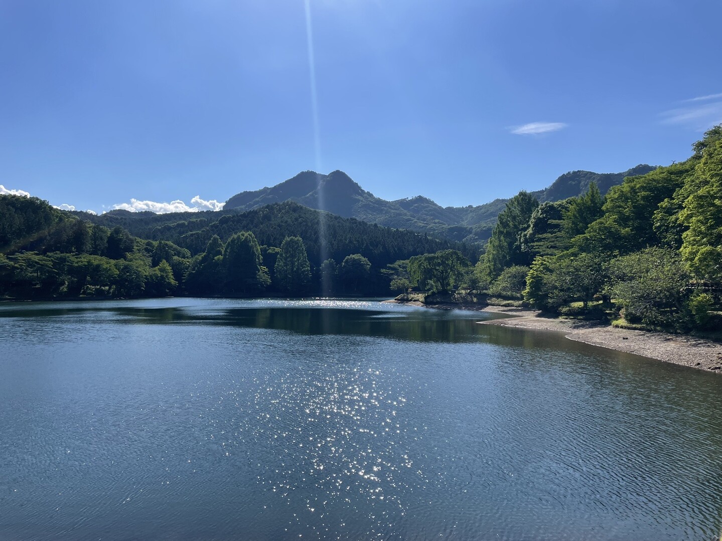 帰宅後 shokoちゃんを誘って 昨日の... / mihoさんのモーメント | YAMAP / ヤマップ