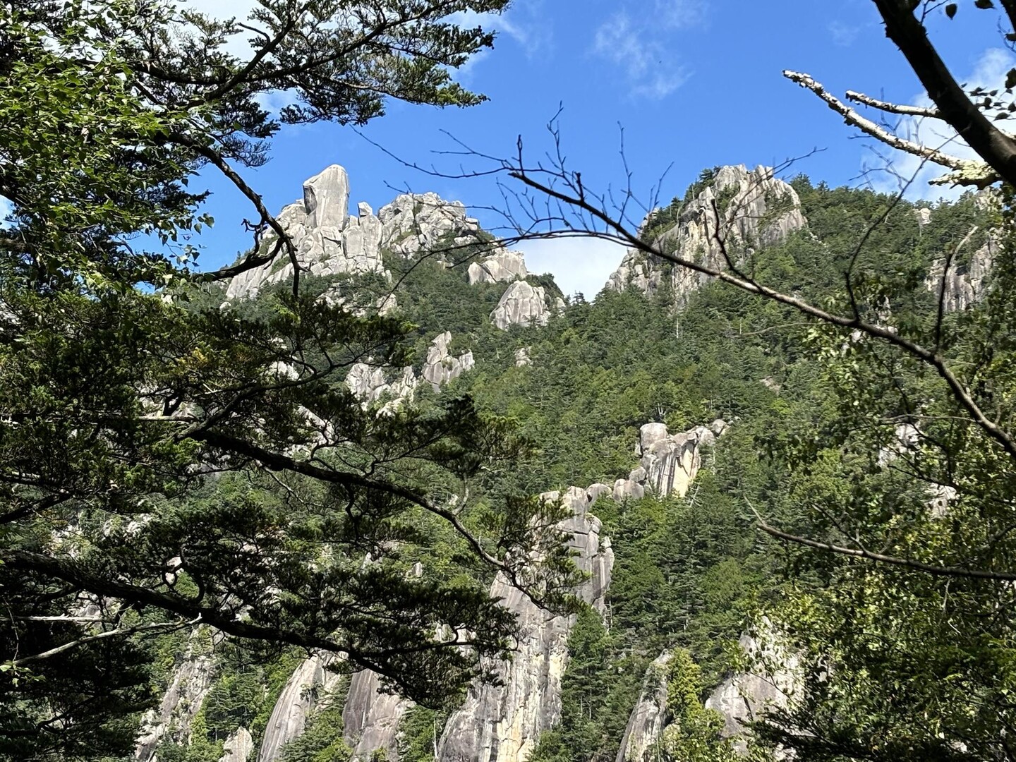 瑞牆山 / ISSAさんの瑞牆山・金峰山の活動データ | YAMAP / ヤマップ