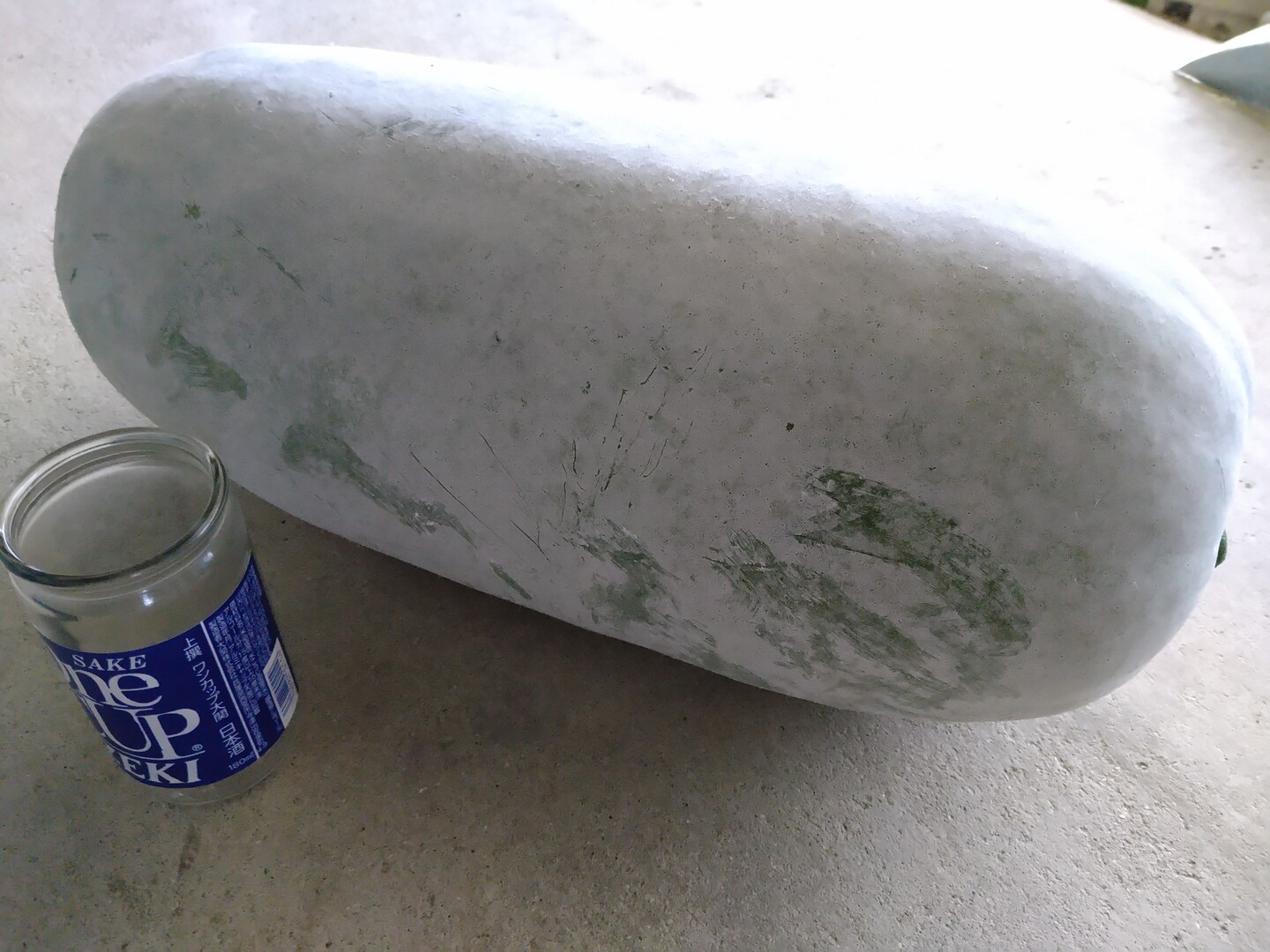 台風前に収穫した冬瓜…約7Kg まだ2個... / あゆみさんのモーメント | YAMAP / ヤマップ