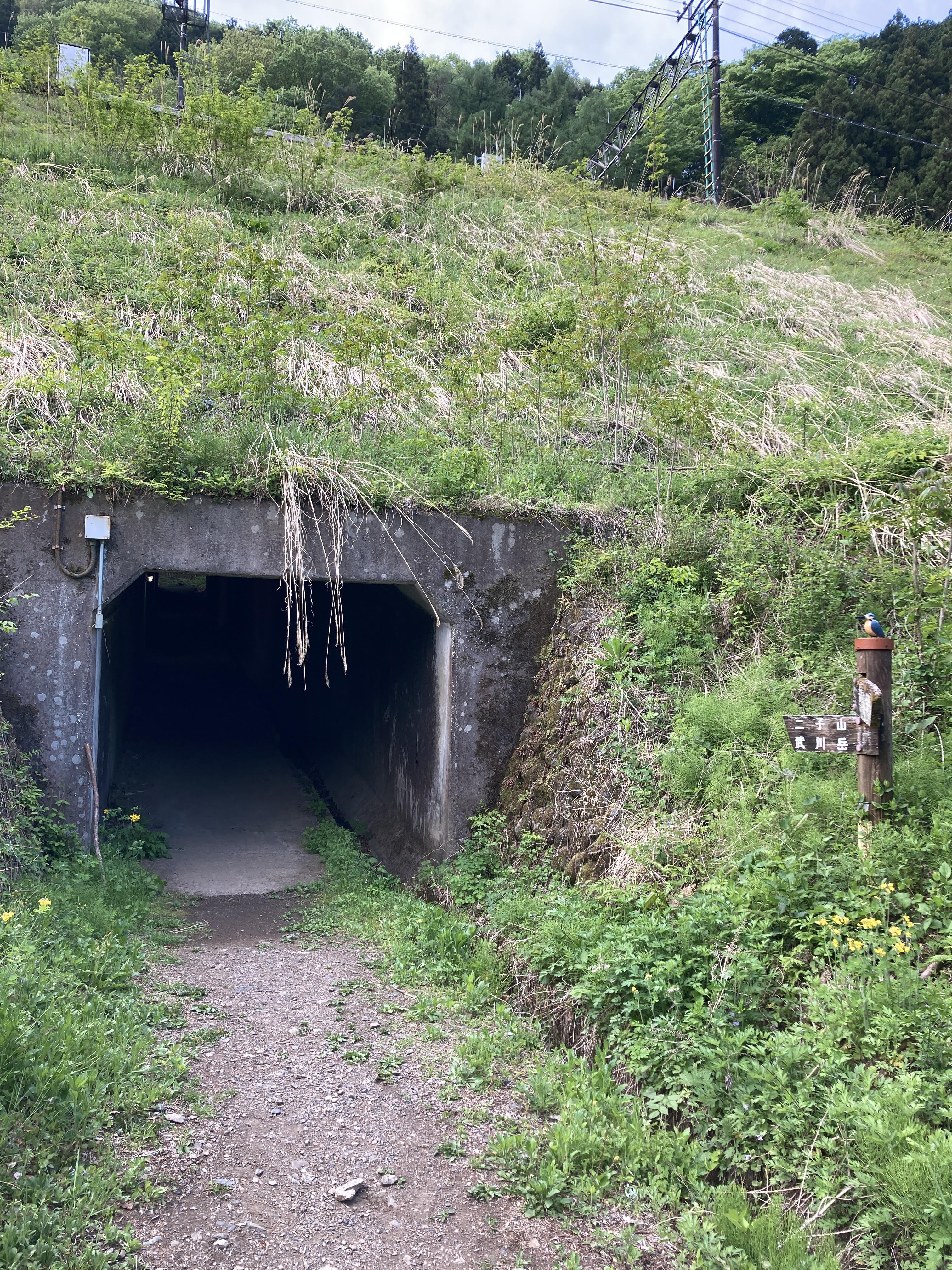 芦ヶ久保から武川岳、大持/小持/武甲山skipでエスケープ / Shige-chanさんの武甲山・伊豆ヶ岳・小持山の活動データ | YAMAP / ヤマップ