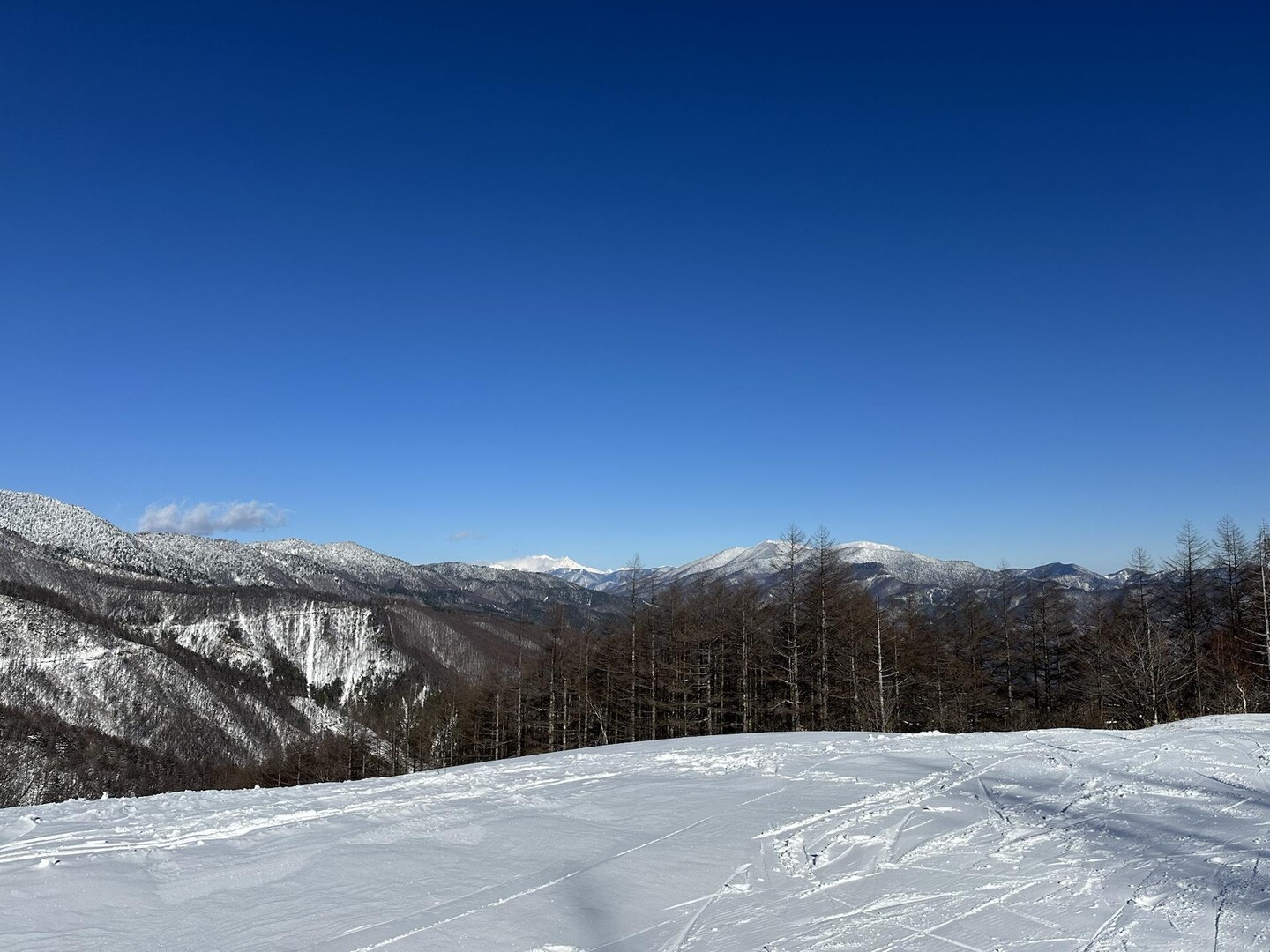 やぶはら高原スキー場でスノボ🏂 / MARIさんの木曽駒ヶ岳・空木岳・越百山の活動データ | YAMAP / ヤマップ