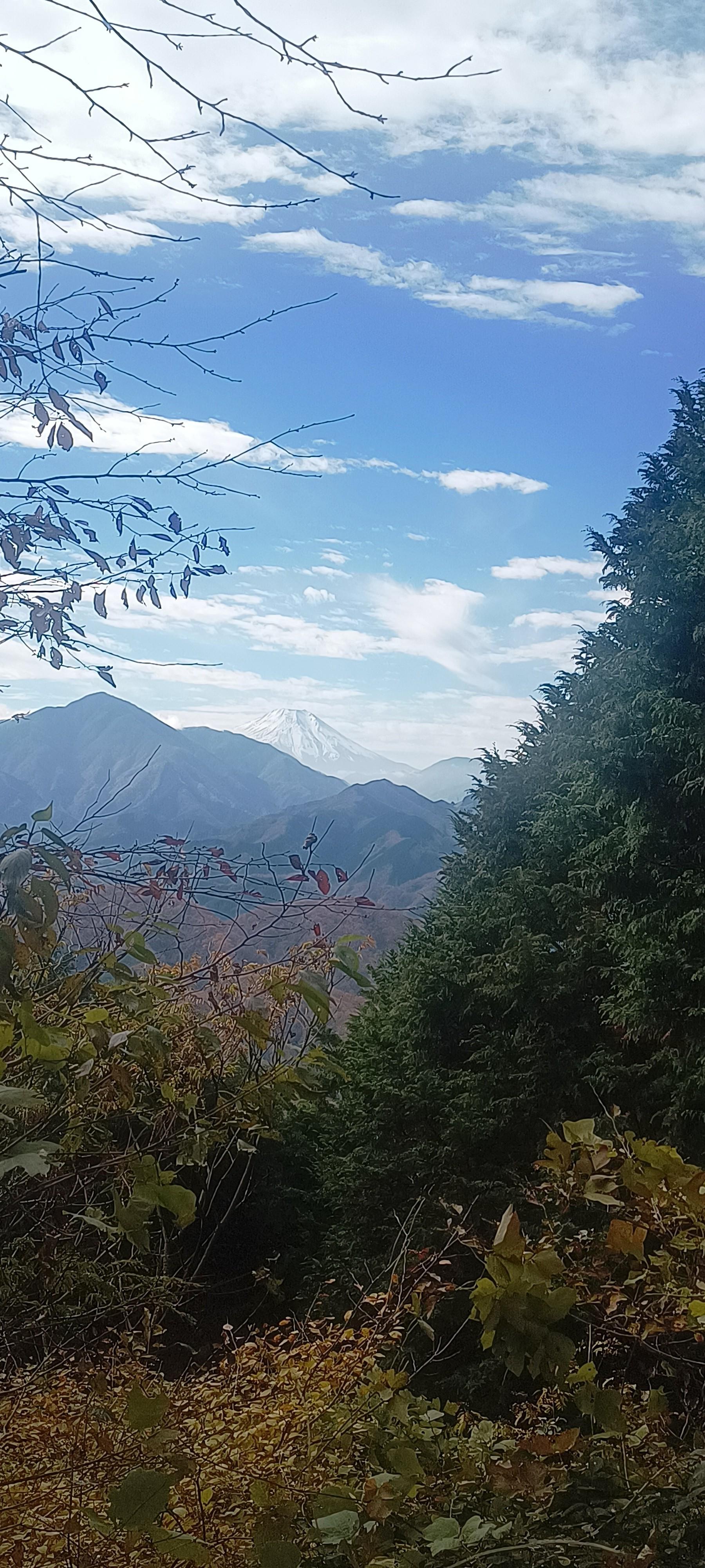 石老山・東雲山・大明神(大明神山) / KAAZ さんの石老山・ 石砂山の活動データ | YAMAP / ヤマップ