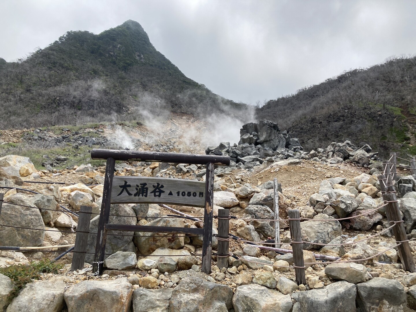 大涌谷自然研究路ガイドツアー / kz...ymさんの箱根山・神山の活動データ | YAMAP / ヤマップ