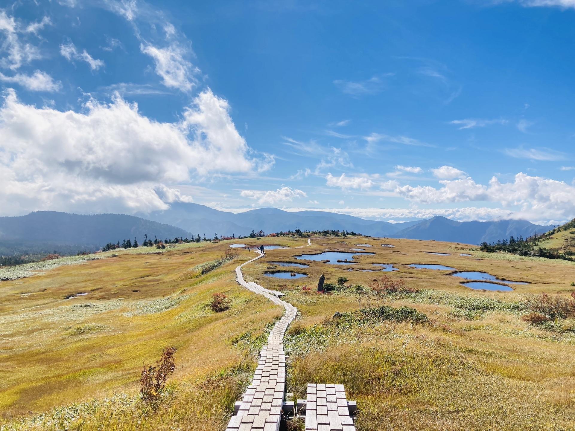 Mt.Naeba / Kazuさんの苗場山・赤倉山・佐武流山の活動データ | YAMAP / ヤマップ