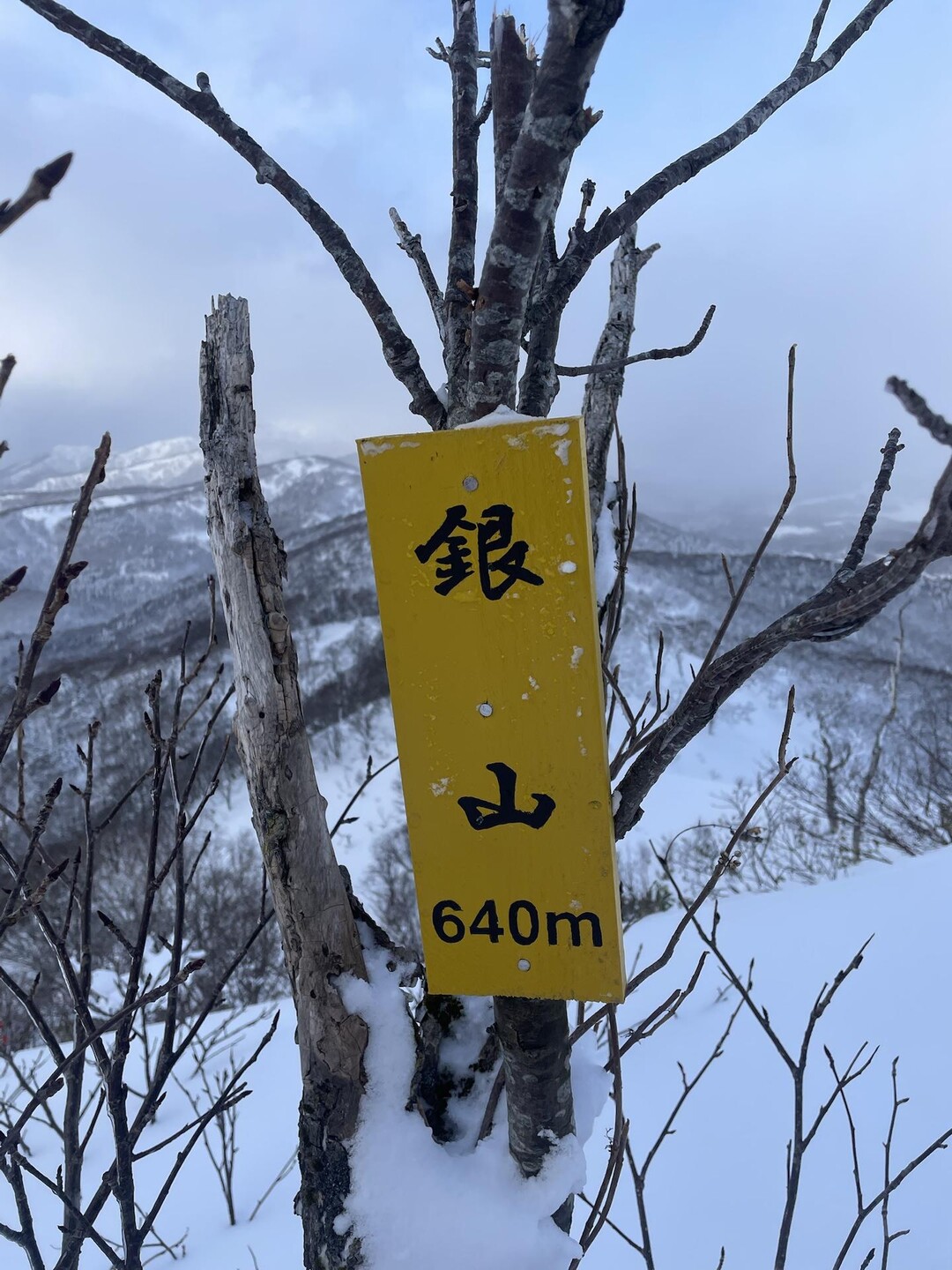 銀山🏔️ / me〜さんの稲穂嶺・銀山の活動データ | YAMAP / ヤマップ