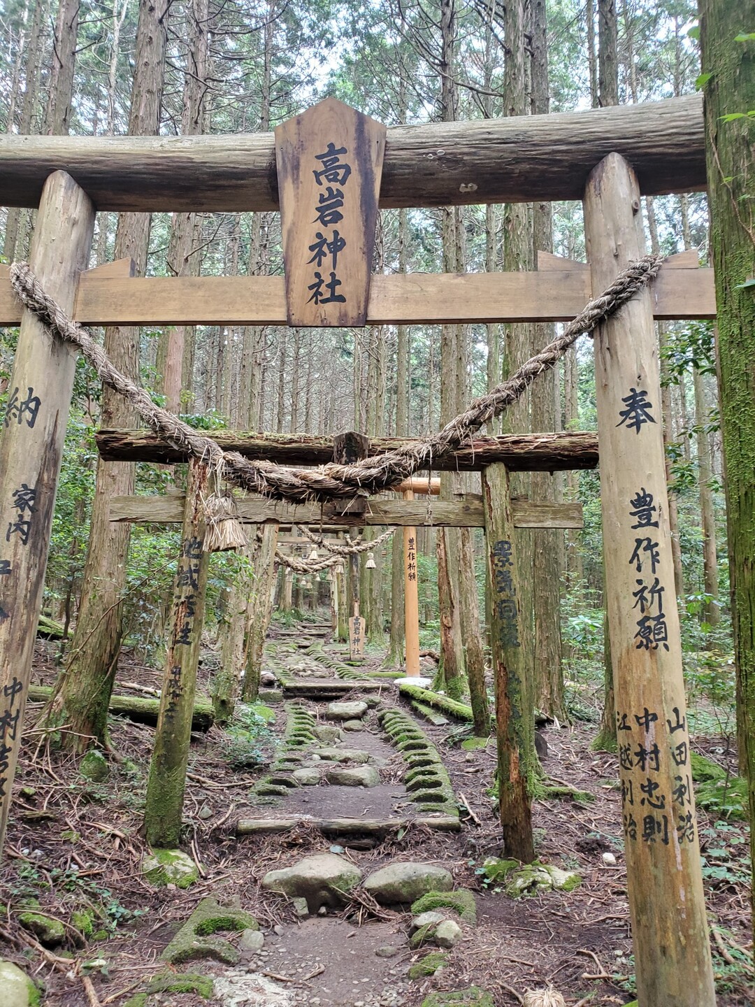 高岩山 / himeさんの雲仙岳・普賢岳・絹笠山の活動データ | YAMAP / ヤマップ