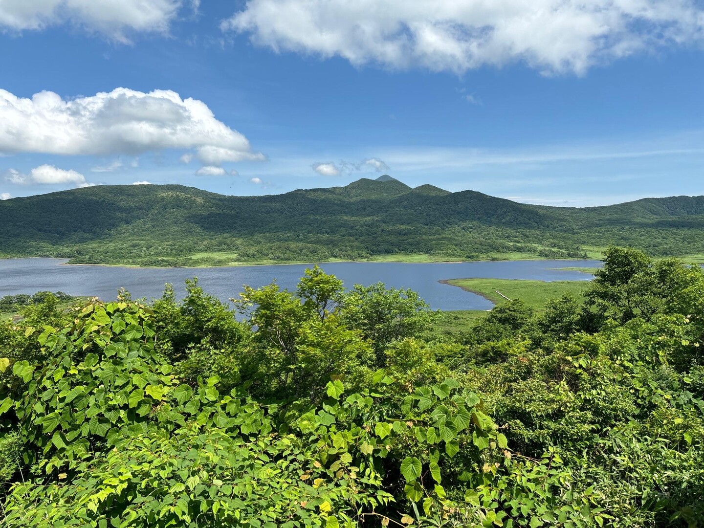 電車でGo! 雄国沼(福島)の旅 / kco（ケーコ）さんの磐梯山・雄国山・赤埴山の活動データ | YAMAP / ヤマップ