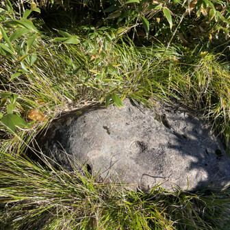 ga -koのページ | YAMAP / ヤマップ