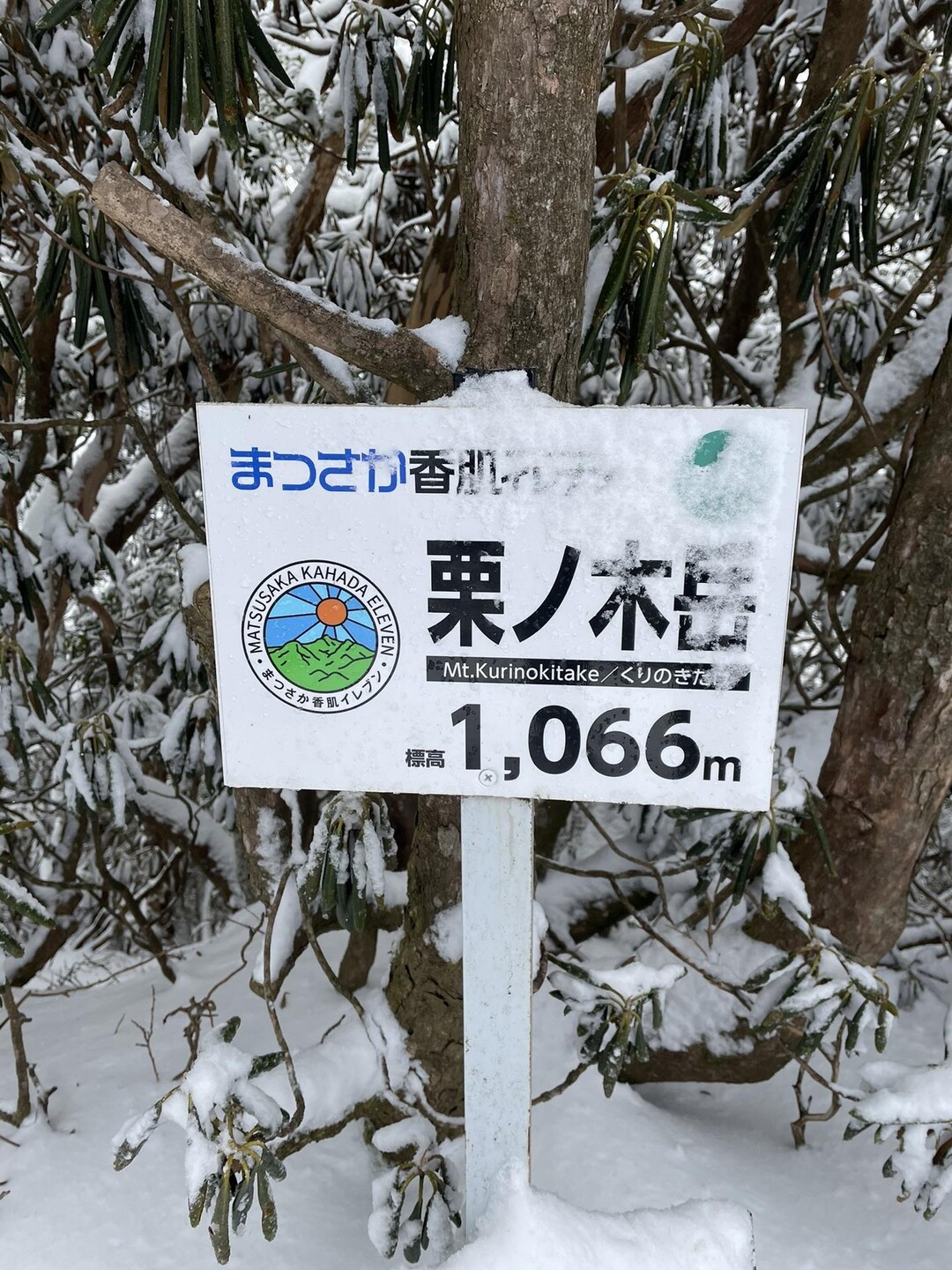 栗ノ木岳 / hisa-cさんの三峰山・学能堂山・栗ノ木岳の活動データ | YAMAP / ヤマップ