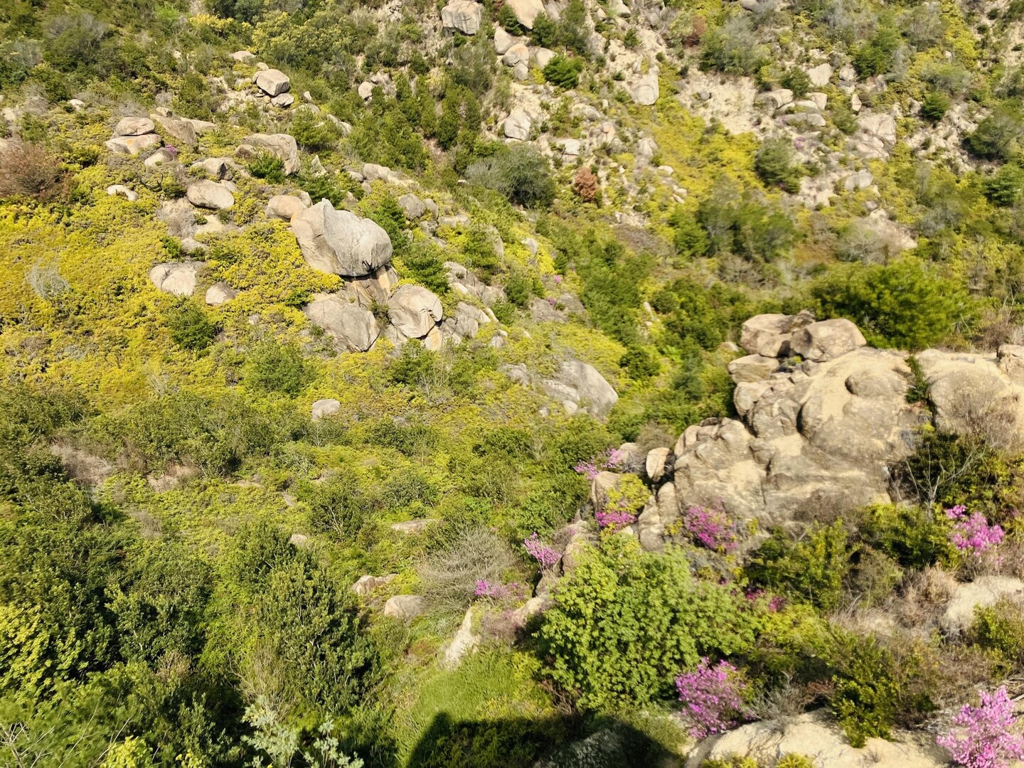 見所満載‼️深山公園東尾根〜天狗山東尾根周回コース / TAKUMIさんの天狗山・みやま公園の活動データ | YAMAP / ヤマップ