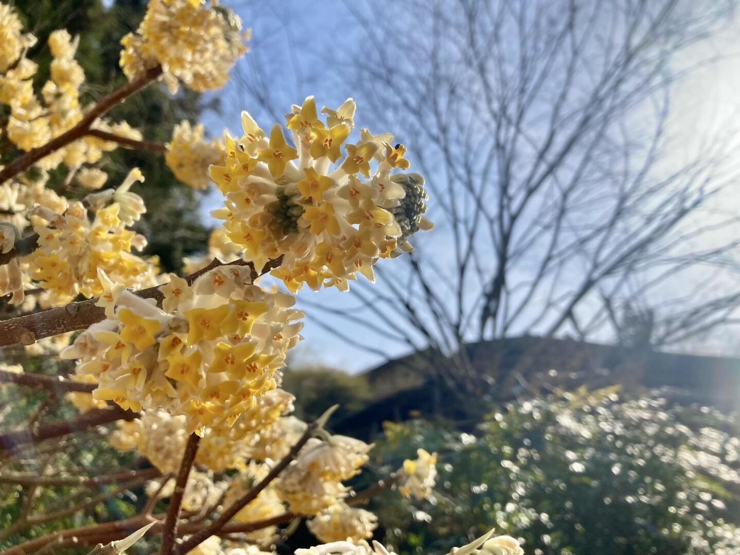 生藤山 / kinoさんの生藤山の活動データ | YAMAP / ヤマップ