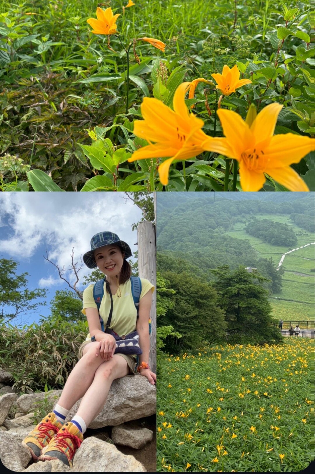 黄色に染まる日光霧降高原 丸山〜八平ヶ原周回コース / Tomoko💖さんの女峰山・赤薙山・大真名子山の活動データ | YAMAP / ヤマップ