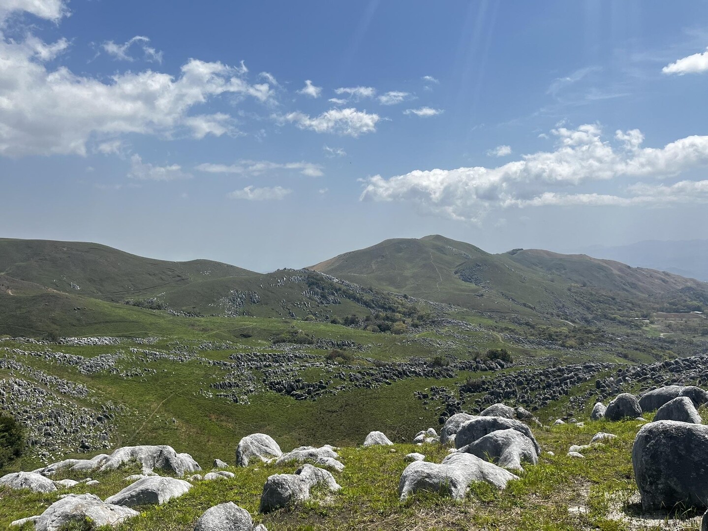 広谷台・偽水晶山・水晶山・貫山・四方台・塔ヶ峯・大平山 / nekodakeさんの平尾台・貫山・水晶山の活動日記 | YAMAP / ヤマップ