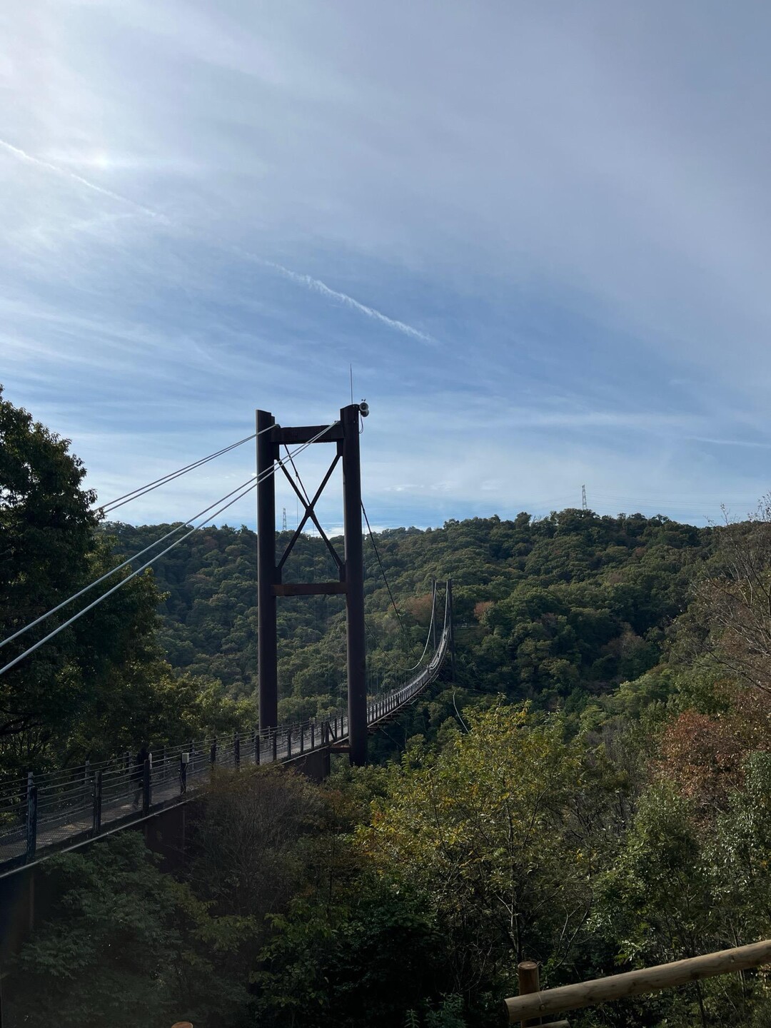 星のブランコと磐船神社 / 晴走雨読さんの交野山・国見山の活動日記 | YAMAP / ヤマップ