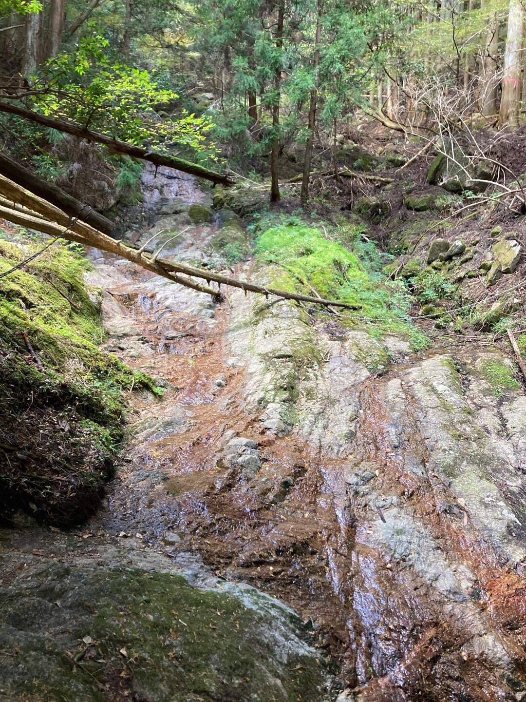 kaz330さんの投稿したフィールドメモ | YAMAP / ヤマップ