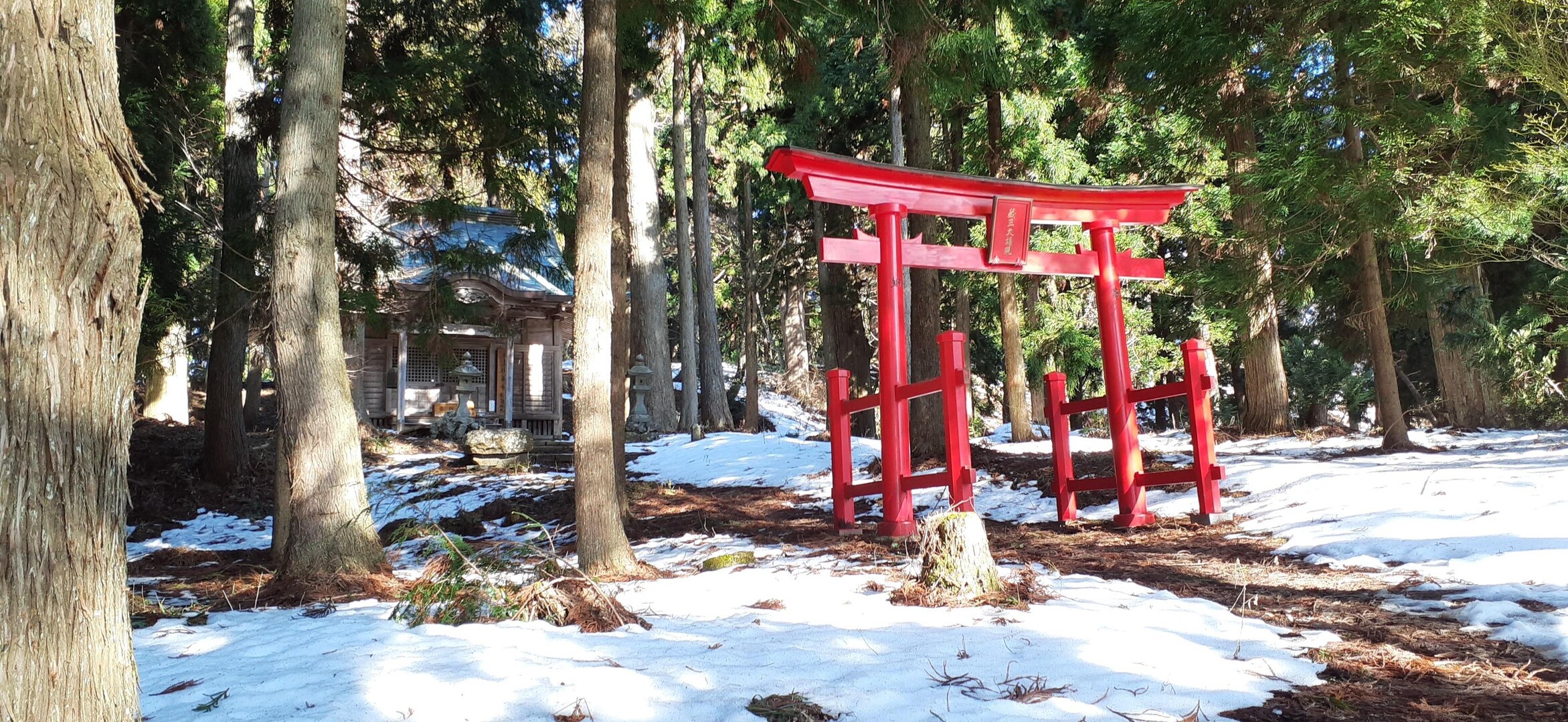 越前五山@吉野ヶ岳 / miyuさんの取立山の活動データ | YAMAP / ヤマップ