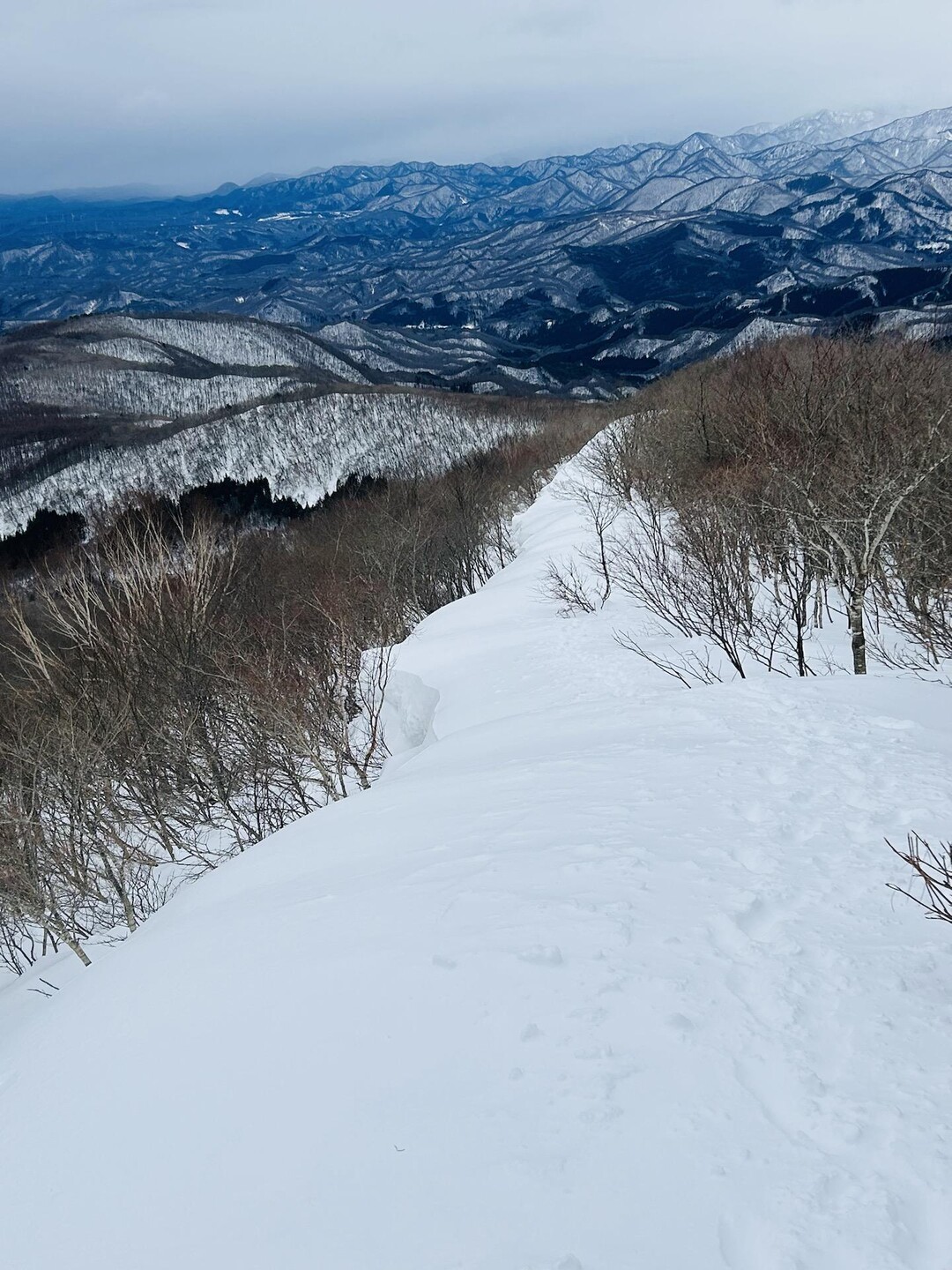 泉ヶ岳 / takiさんの船形山（御所山）・泉ヶ岳・蛇ヶ岳の活動日記 | YAMAP / ヤマップ
