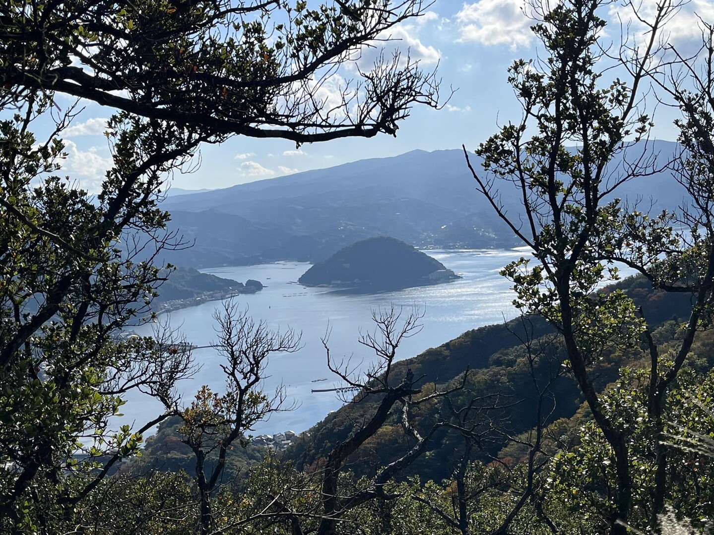 沼津アルプス（志下山~大平山）-2022-11-18 / Ma-buさんの沼津アルプス・鷲頭山・香貫山の活動データ | YAMAP / ヤマップ