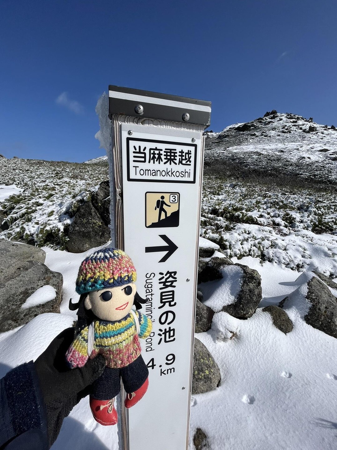 1591ピーク（沼の平と当麻乗越） / ほしぞさんの大雪山系・旭岳・トムラウシの活動データ | YAMAP / ヤマップ