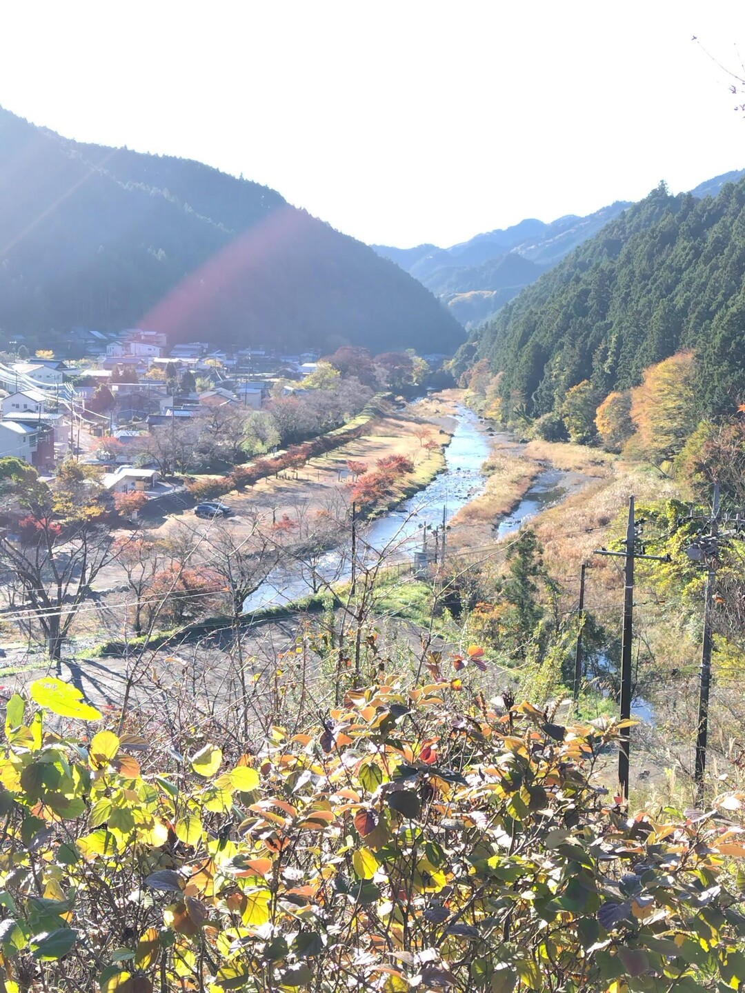 棒ノ折山は、にぎやか / kabekkeさんの棒ノ折山（棒ノ嶺）の活動データ | YAMAP / ヤマップ
