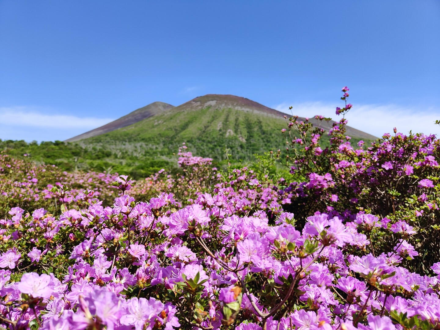 🌸御鉢・高千穂峰・鹿ヶ原🌸 おはぎさんの霧島山・韓国岳・高千穂峰・夷守岳・烏帽子岳の活動データ Yamap ヤマップ