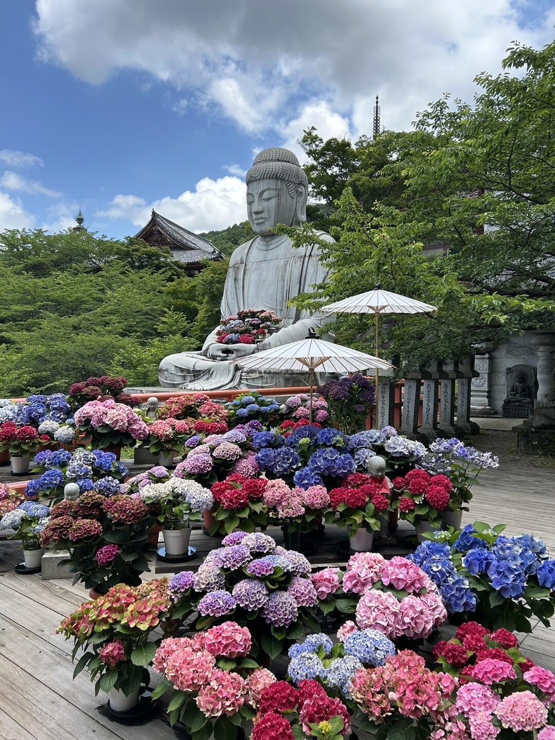 高取山 / zakiさんの高取山の活動データ | YAMAP / ヤマップ