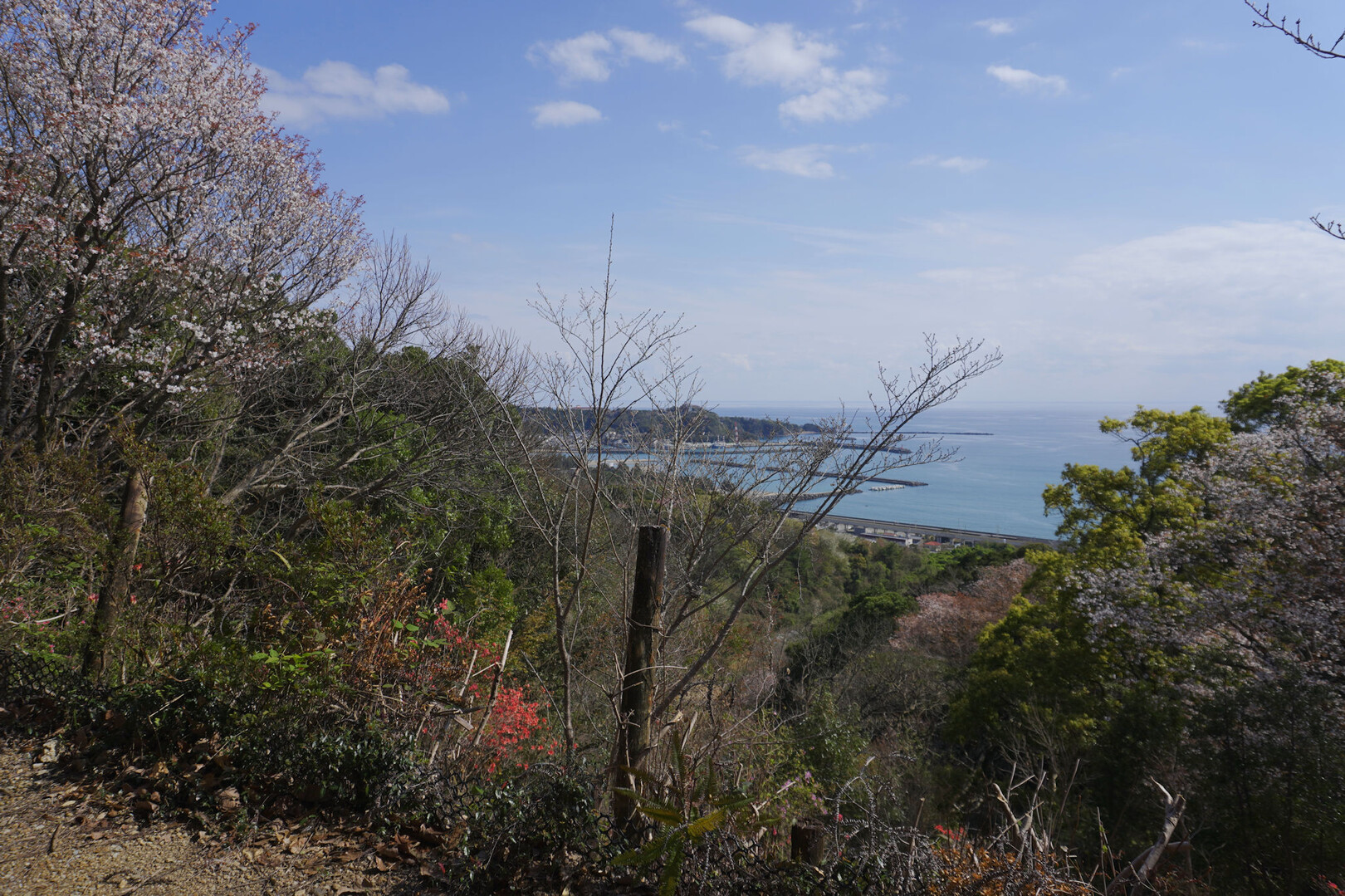 すべり山（月見山こどもの森） / FRVさんの香南市の活動データ | YAMAP / ヤマップ