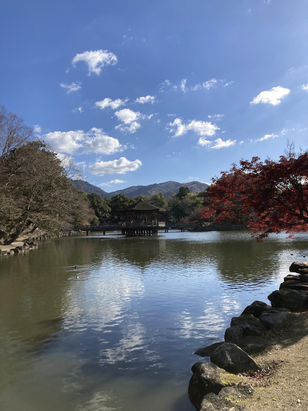 高円山西峰・高円山 / Yuriさんの若草山・芳山・高円山の活動データ | YAMAP / ヤマップ