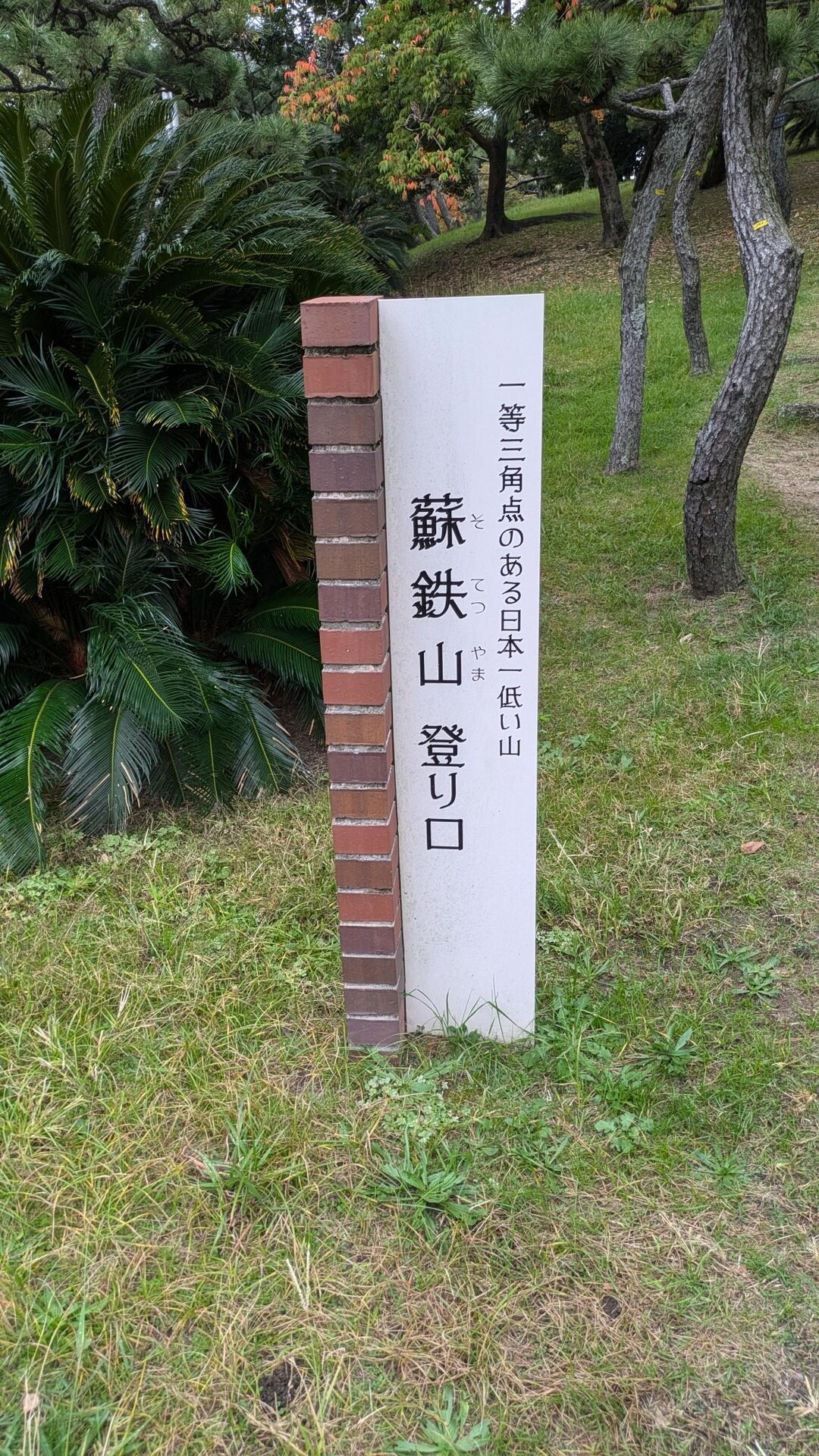 MISAMO登山「SA」(蘇鉄山) / kaz23さんの蘇鉄山の活動データ | YAMAP / ヤマップ