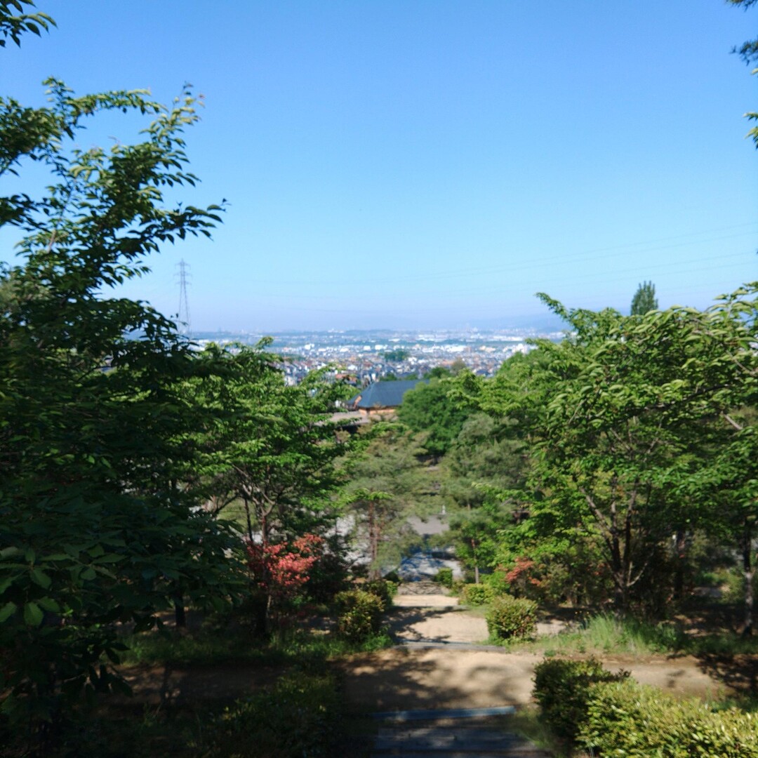 太陽ヶ岡公園-2024-05-18 / サボテンライダーt2さんの鴻ノ巣山の活動データ | YAMAP / ヤマップ