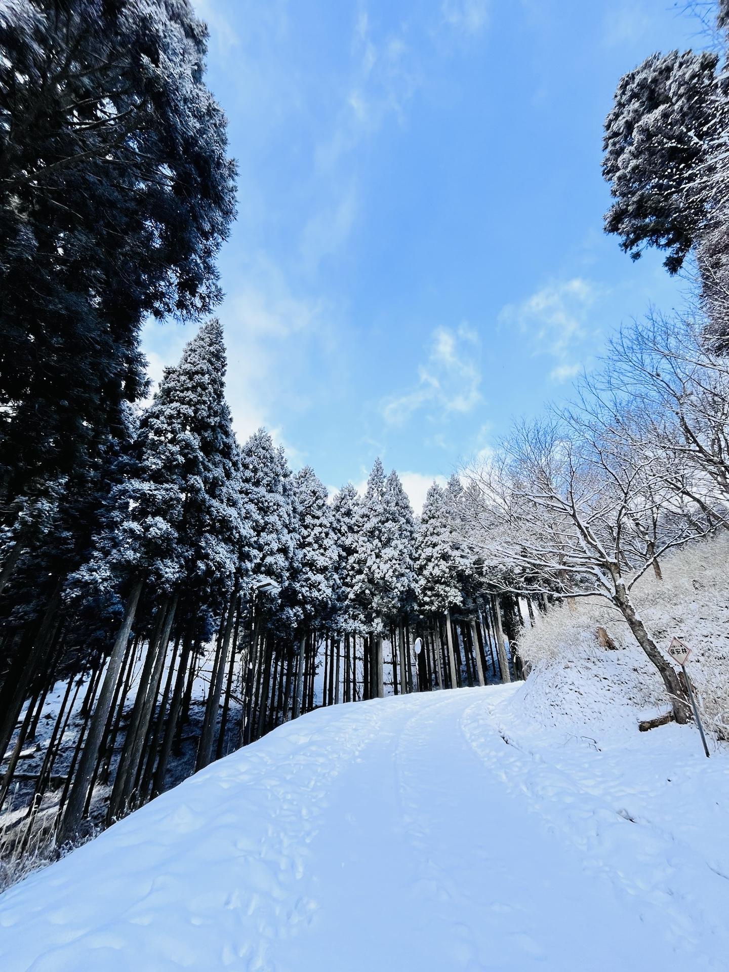 今期最大級寒波到来だけど東山スノーハイク😅 / iku araiさんの東山の活動日記 | YAMAP / ヤマップ