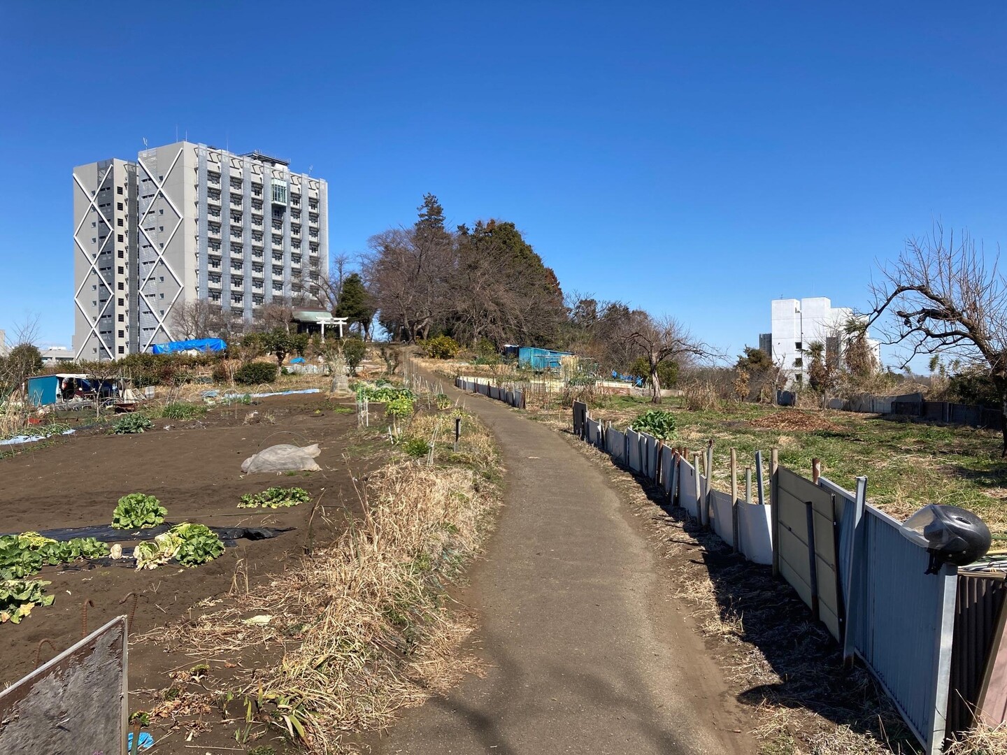 高尾山(横浜の🤗)〜瀬谷・おふろの王様 / smashaceさんのハイキングの活動データ | YAMAP / ヤマップ