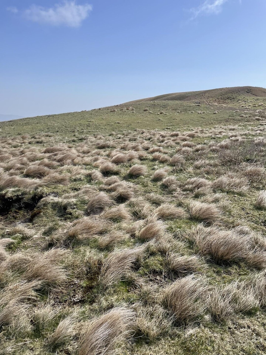 竜ヶ岳 / teruさんの竜ヶ岳の活動データ | YAMAP / ヤマップ