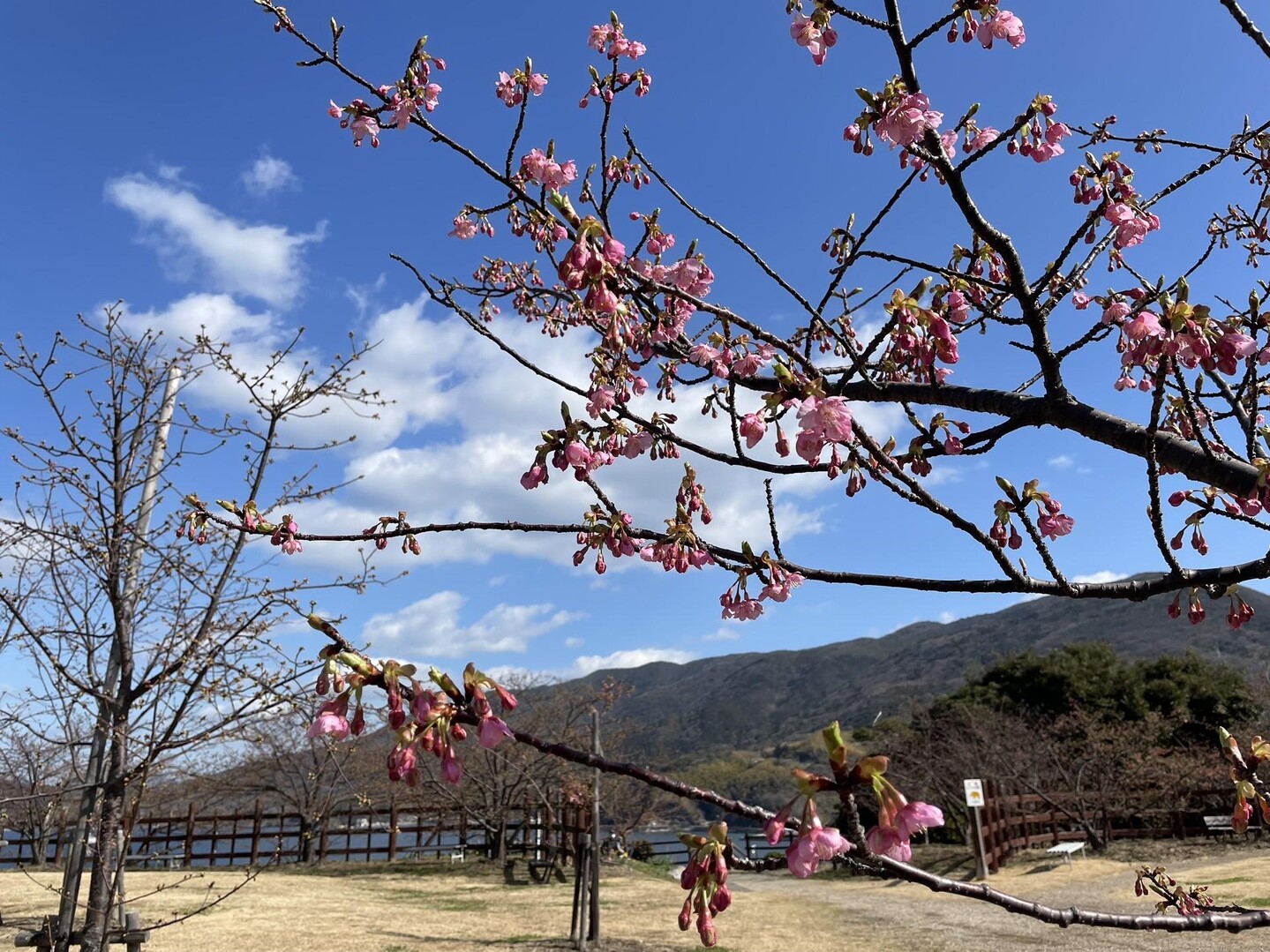 上盛山 / sikaさんの皇座山・大星山・上盛山の活動データ | YAMAP / ヤマップ