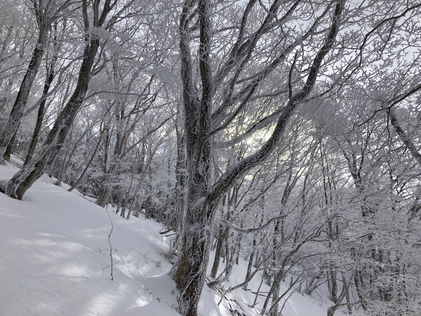 penta360さんの投稿したフィールドメモ | YAMAP / ヤマップ