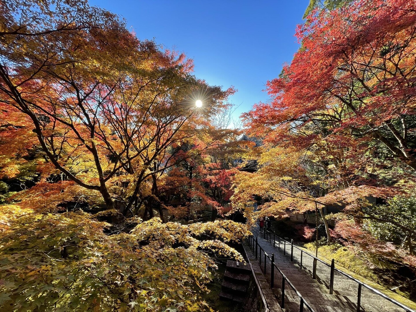 御嶽山・清水寺 / kazuomoさんの西光寺山の活動データ | YAMAP / ヤマップ
